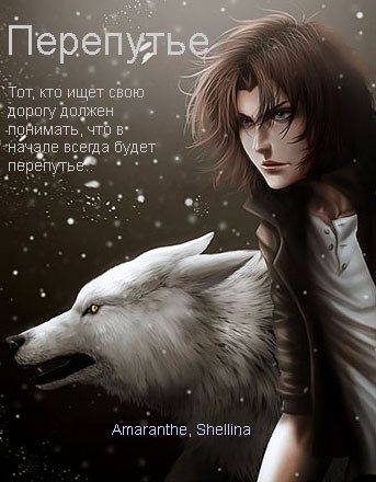 Перепутье - shellina: скачать книгу FB2 | LitLib