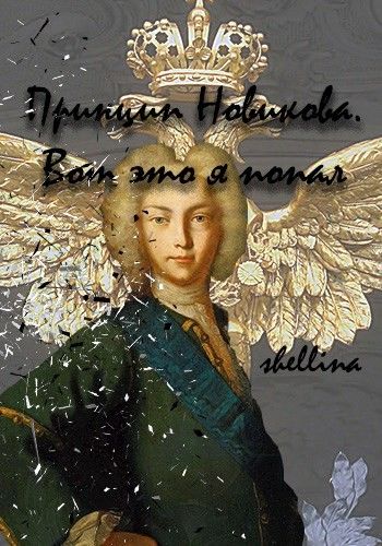 Принцип Новикова. Вот это я попал - shellina: скачать книгу FB2 | LitLib