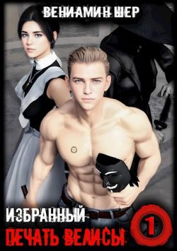 Избранный - Вениамин Шер: скачать книгу FB2 | LitLib